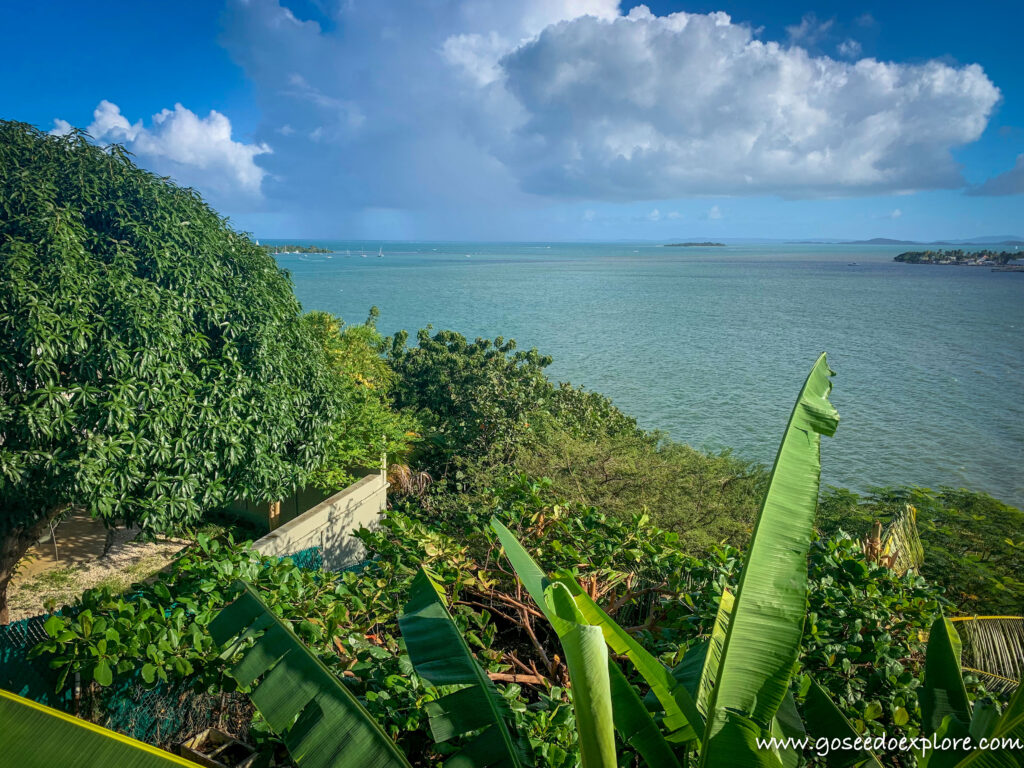 Puerto Rico Road Trip - Go See Do Explore