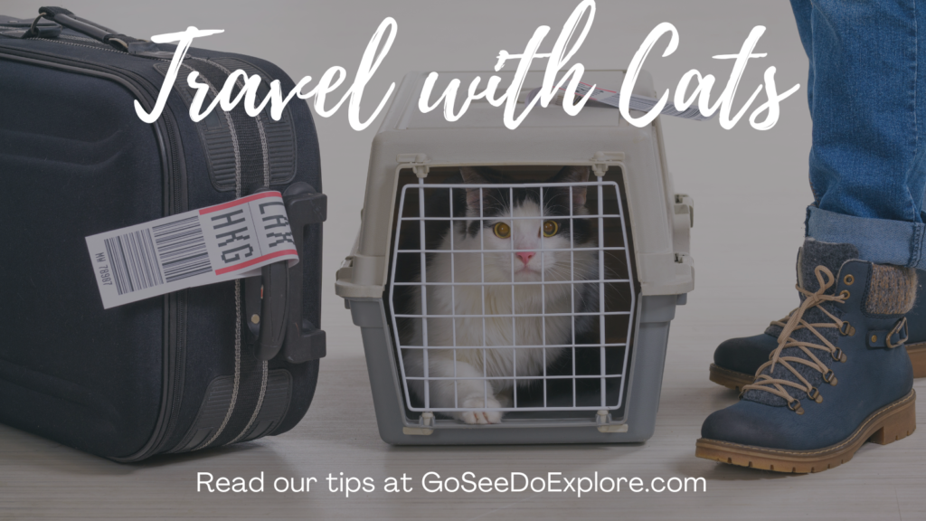 Tips for Traveling with Cats - Go See Do Explore